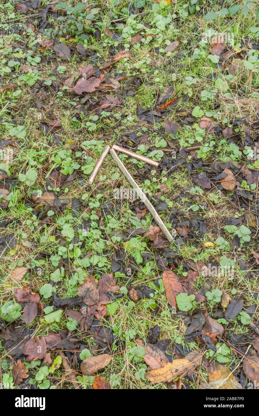 Survival skills concept. Signal arrow on leaves showing 'proceed this ...