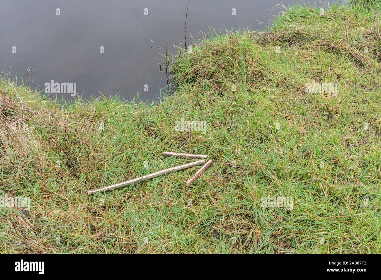 Survival skills concept. Signal arrow by river showing 'proceed this ...