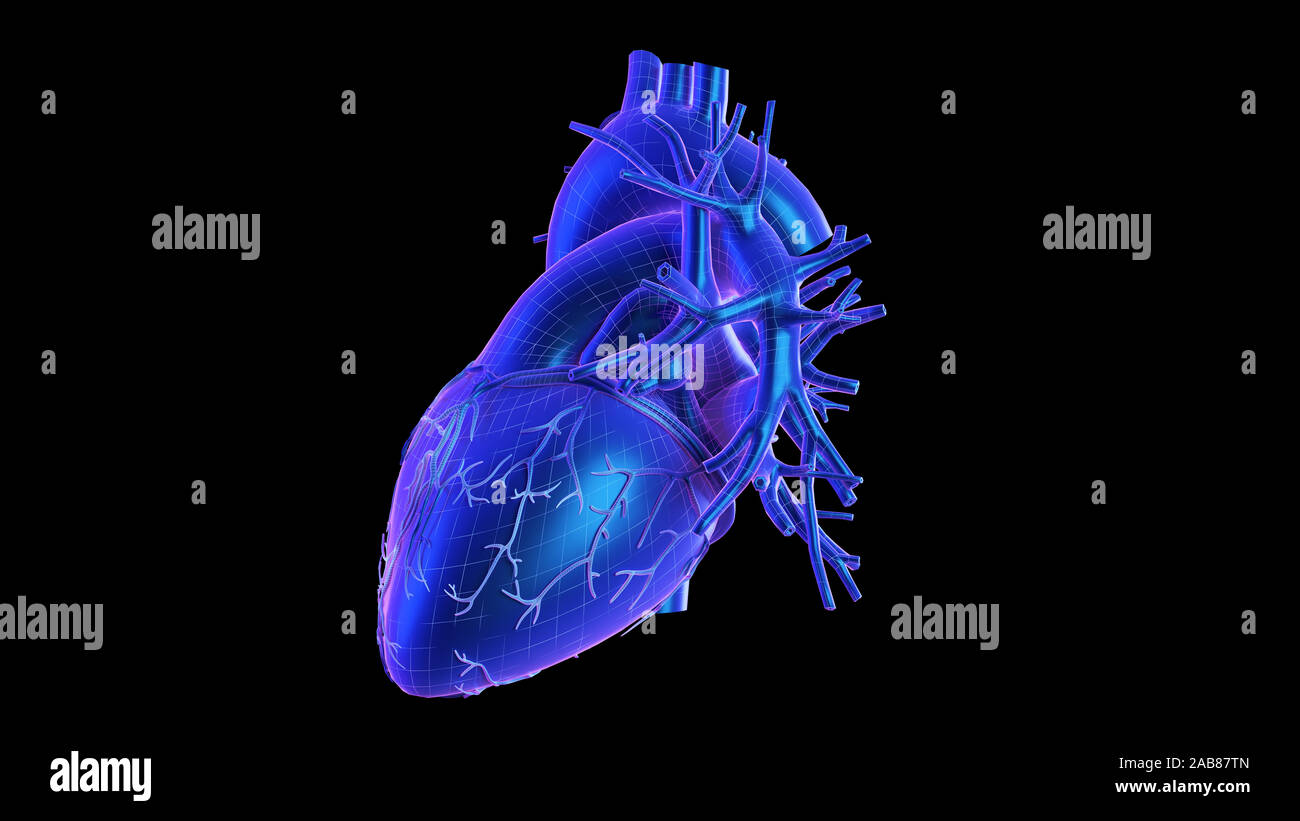3d rendered abstract synthwave style illustration of a human heart ...