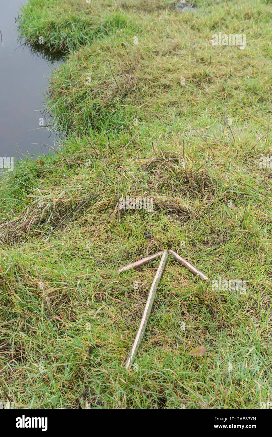 Survival skills concept. Signal arrow by river showing 'proceed this ...