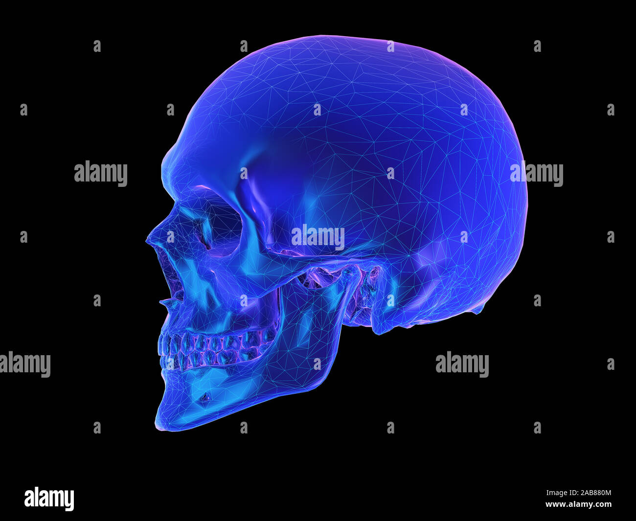 3d rendered abstract synthwave style illustration of a human skull ...