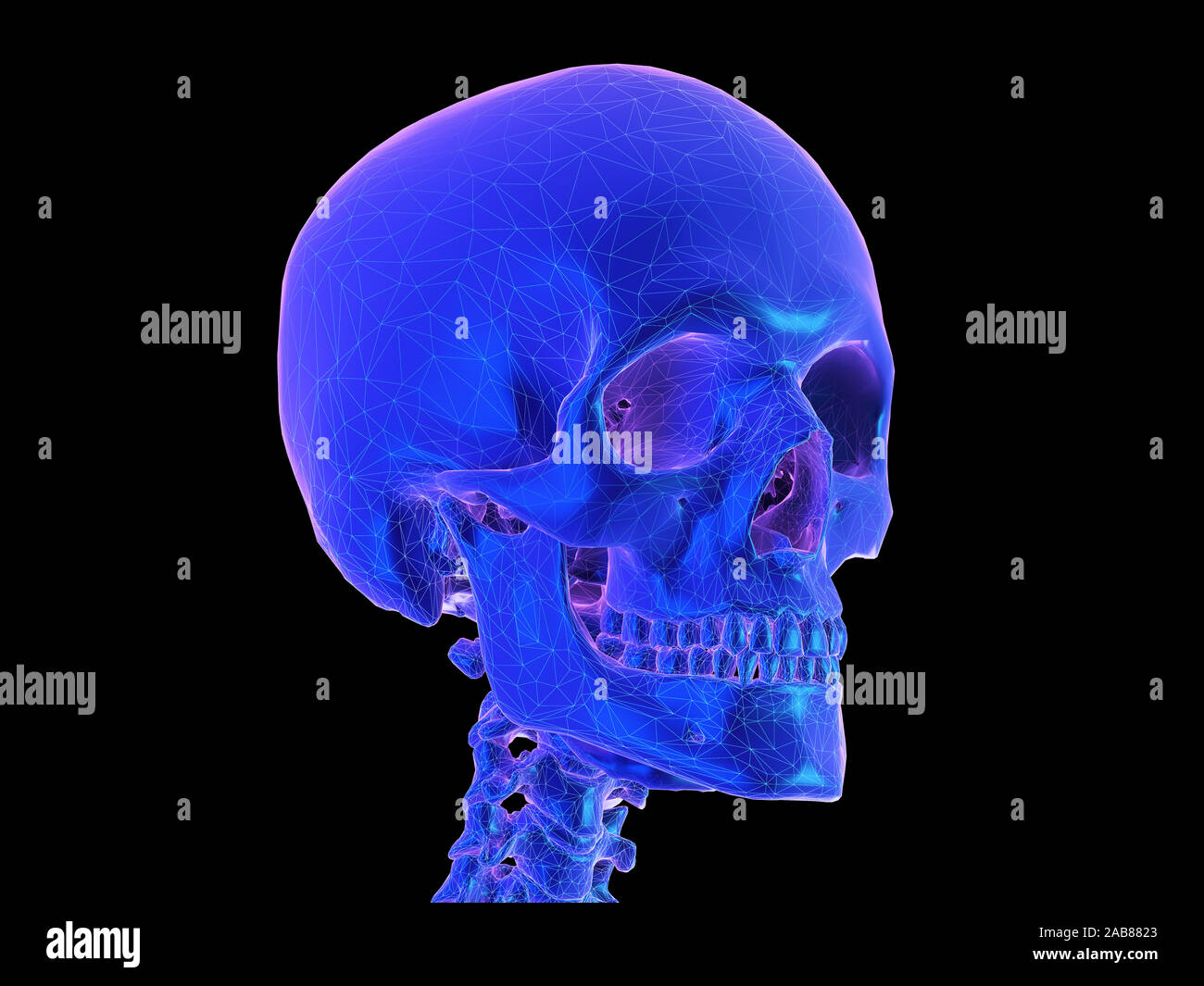 3d rendered abstract synthwave style illustration of a human skeleton ...