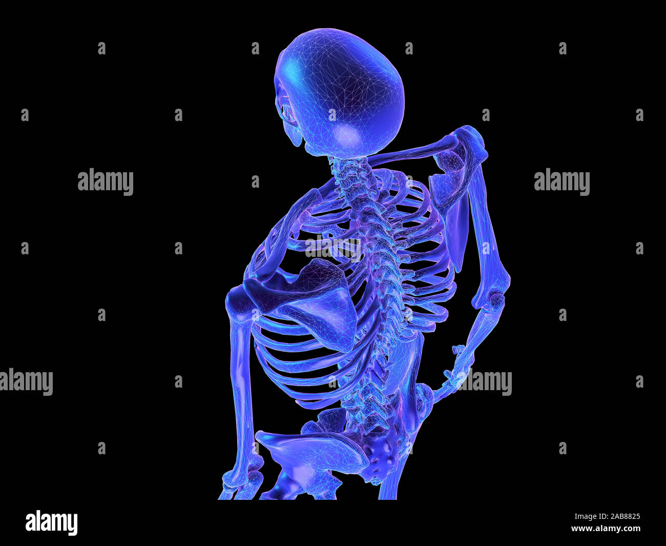 3d rendered abstract synthwave style illustration of a human skeleton ...