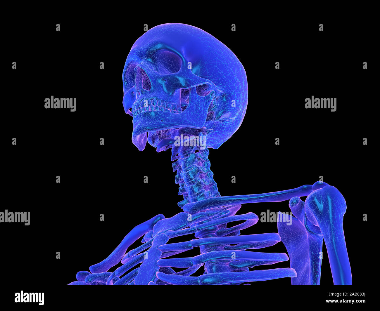 3d rendered abstract synthwave style illustration of a human skeleton ...