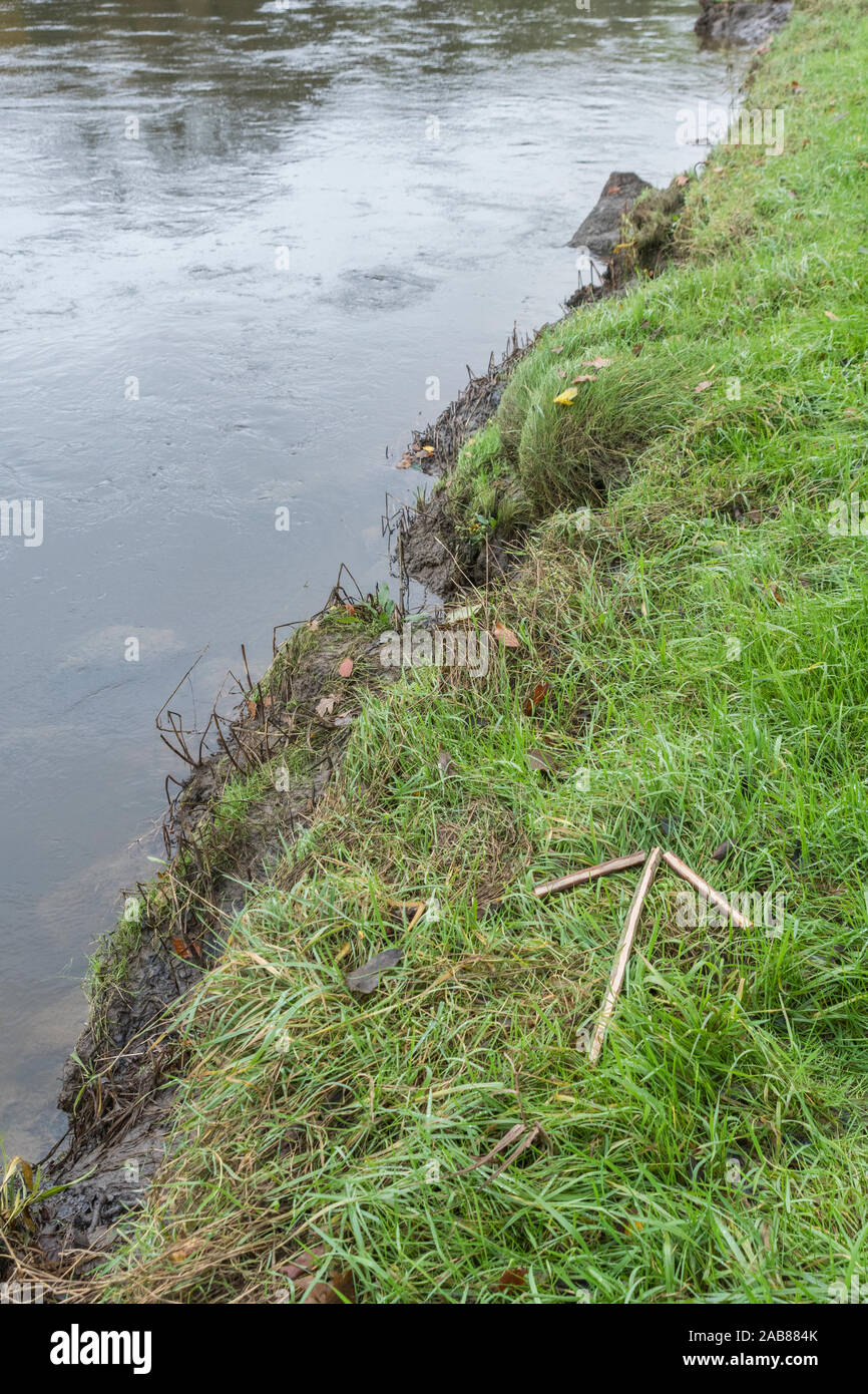 Survival skills concept. Signal arrow by river showing 'proceed this ...