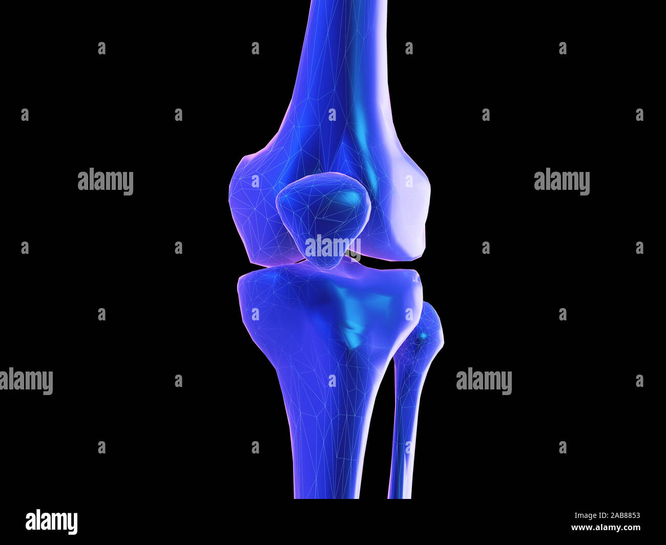 Knee structure illustration hi-res stock photography and images - Alamy