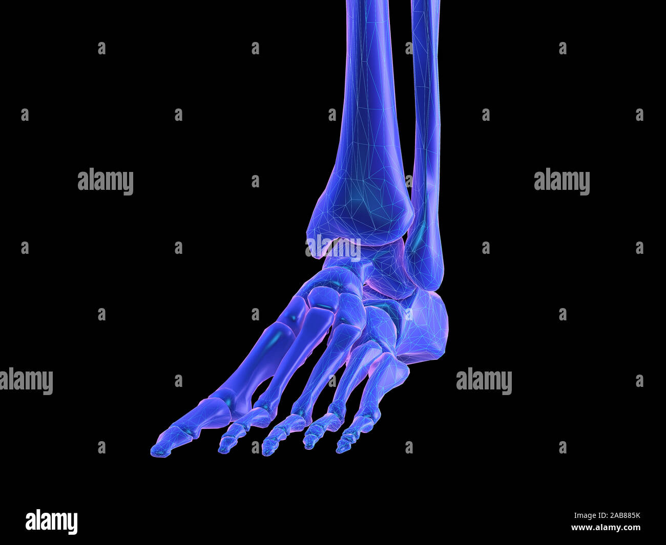 Science abstract foot hi-res stock photography and images - Alamy