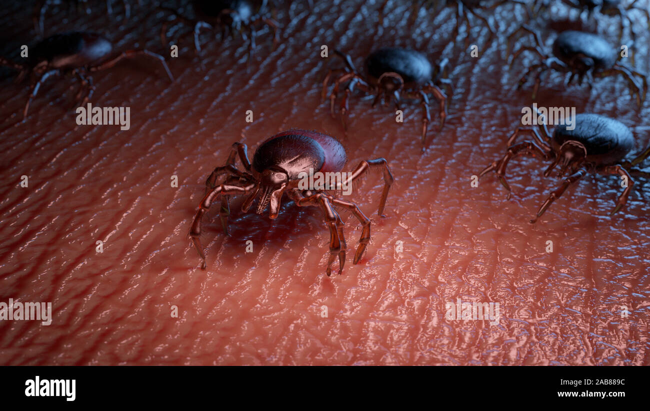 3d rendered illustration of a group of ticks crawling on human skin ...