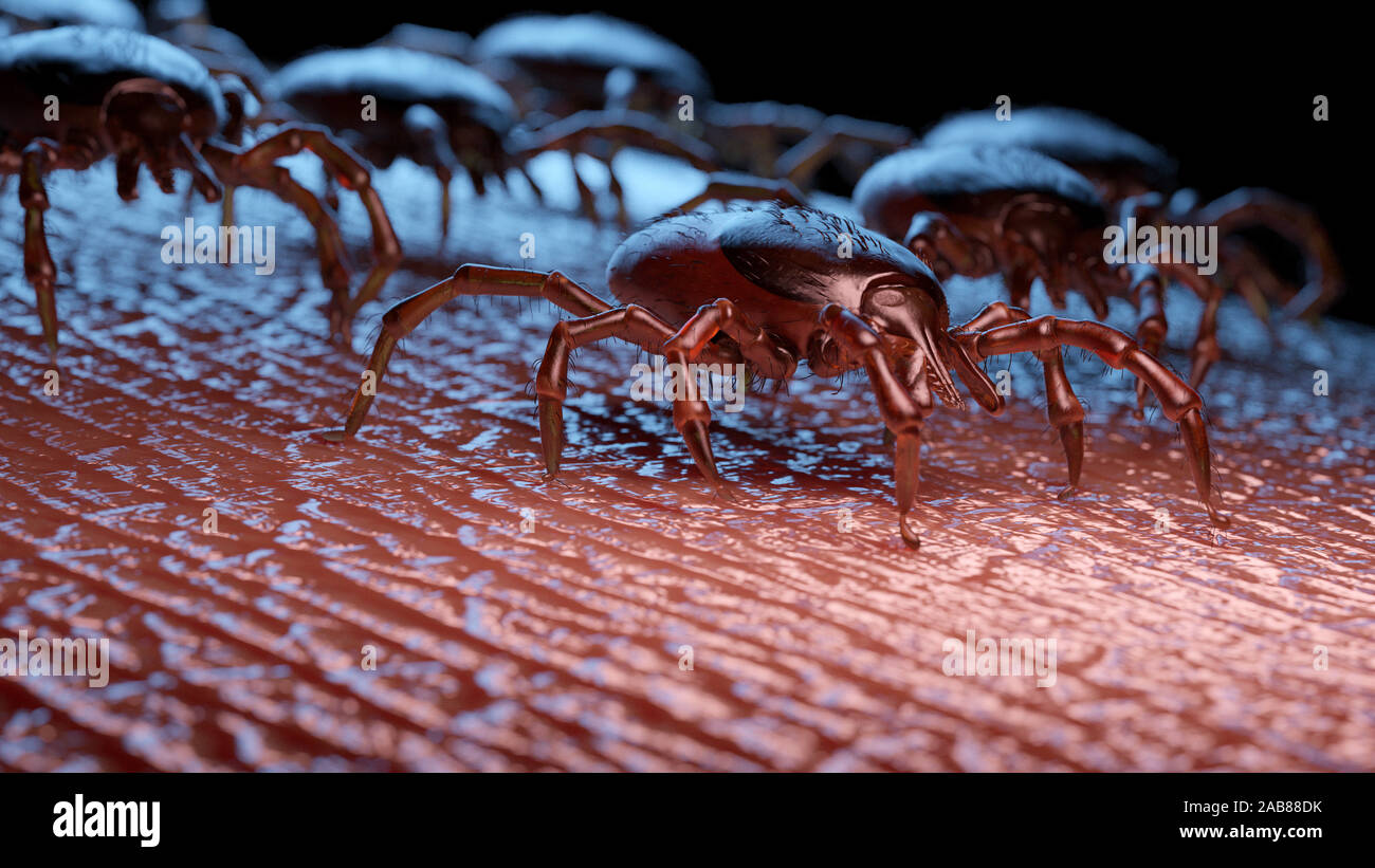 3d rendered illustration of a group of ticks crawling on human skin ...