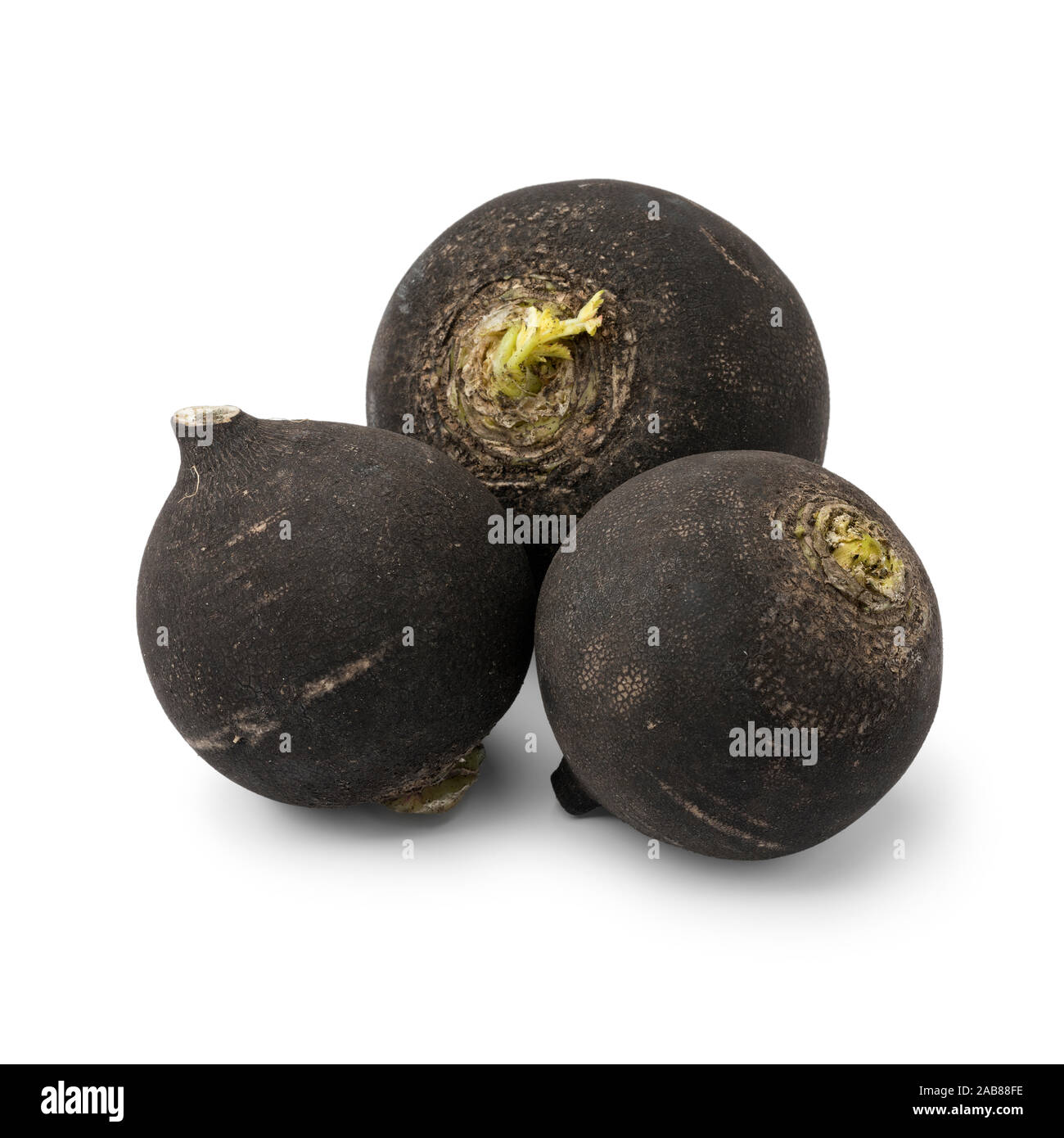 Fresh raw whole black radishes isolated on white background Stock Photo ...