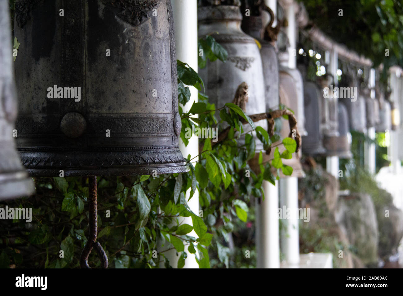 Holy bells between green plants in Bangkok, Thailand, south-east Asia ...