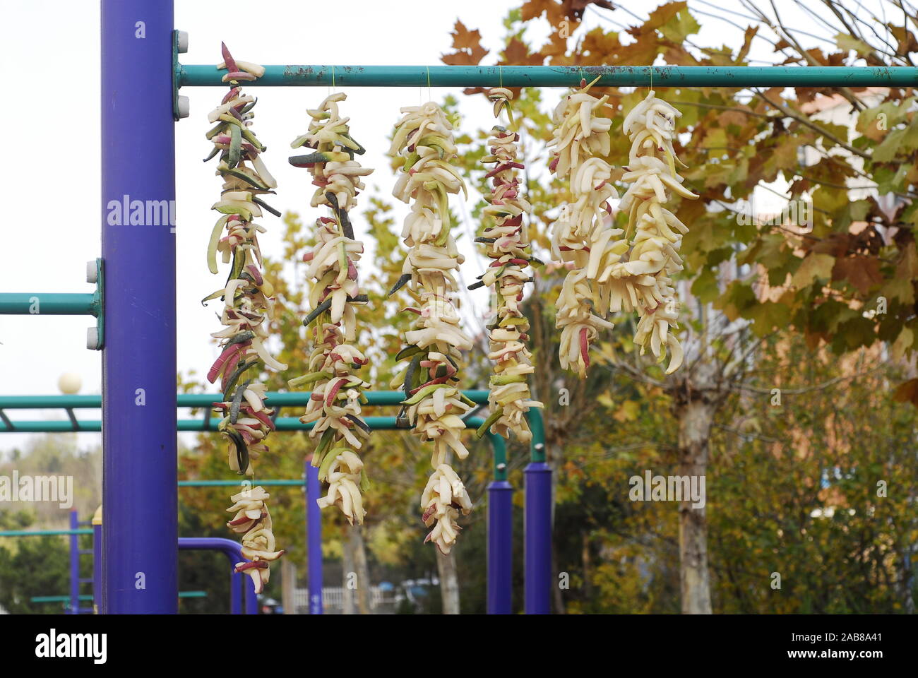 Hanging radish sticks hi-res stock photography and images - Alamy
