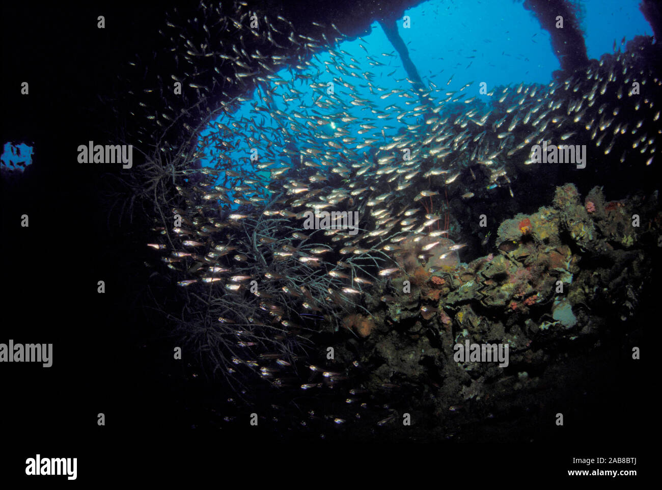 Ss yongala wreck, australia hi-res stock photography and images - Alamy