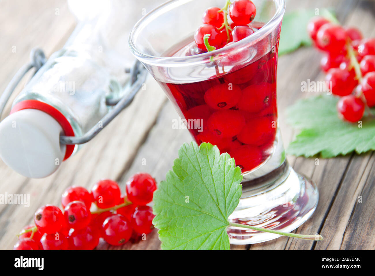 Red currant liqueur and fruits Stock Photo - Alamy