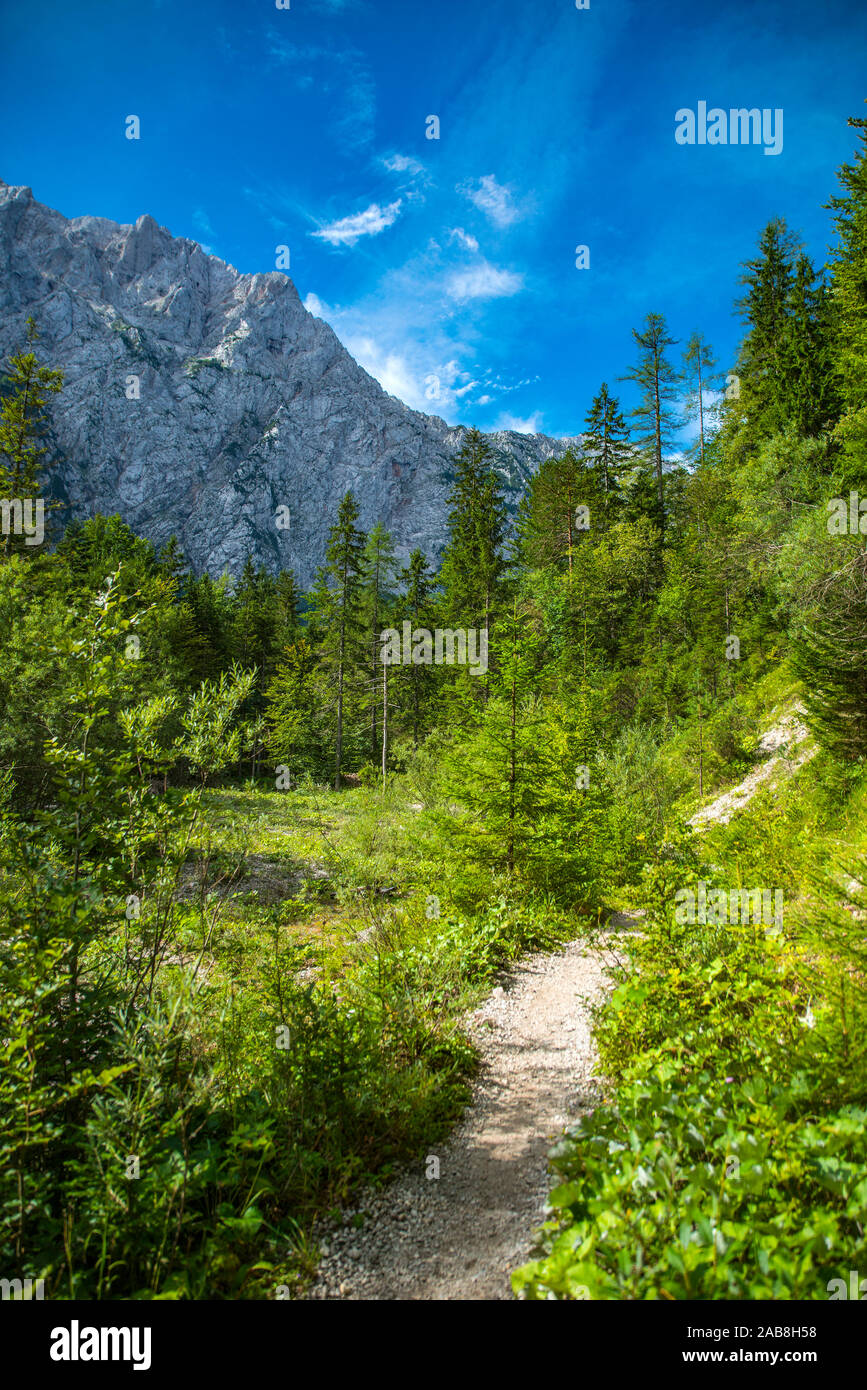 Logar valley in summer, Slovenia Stock Photo - Alamy
