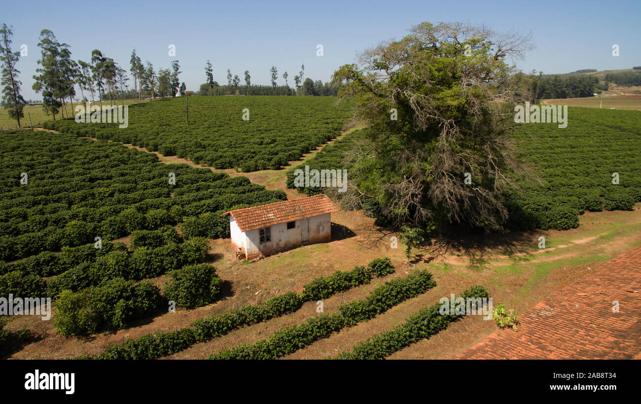 Coffee plantation. Hen house. Simple house Stock Photo - Alamy