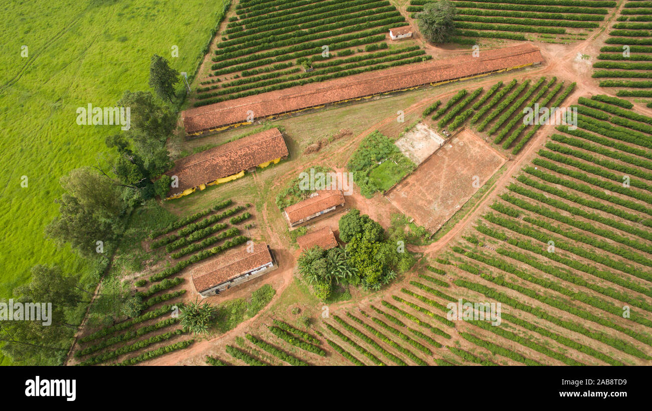 Coffee plantation. Hen house. Simple house Stock Photo - Alamy
