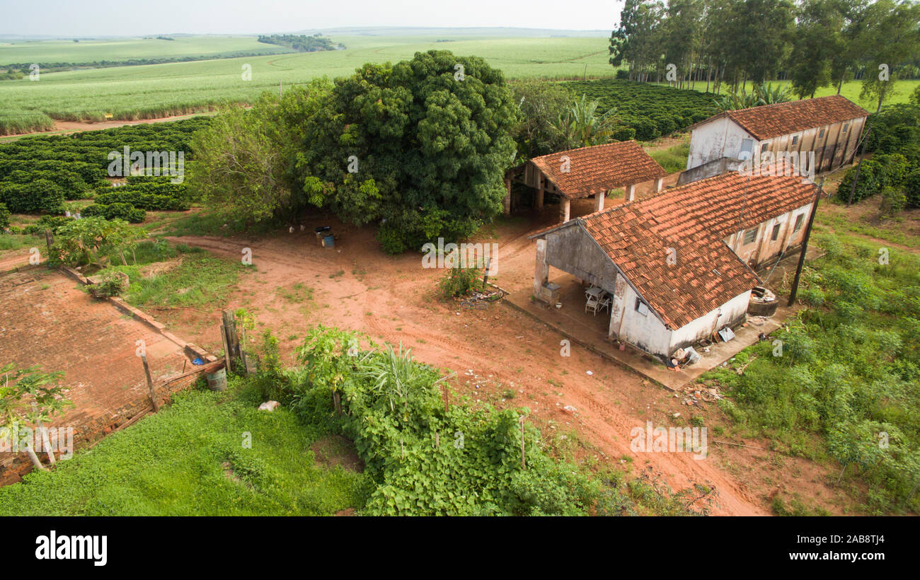 Coffee plantation farm in Brazil. Very simple house and a coffee ...