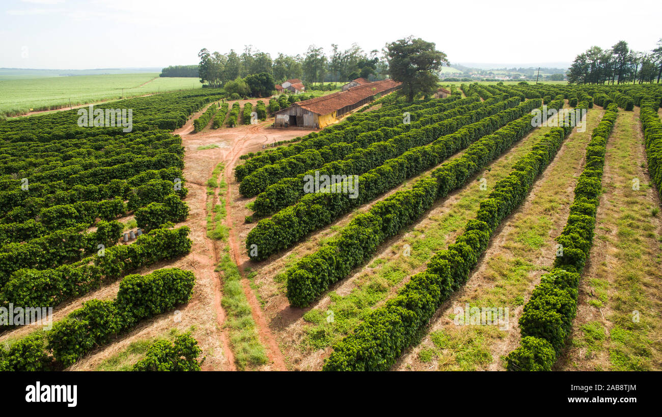 Coffee plantation. Hen house. Simple house Stock Photo - Alamy