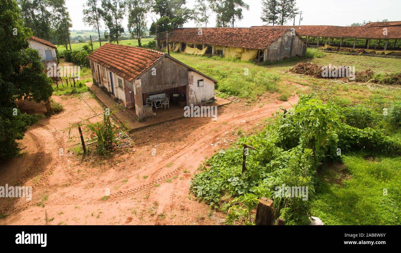 Brazil plantation aerial hi-res stock photography and images - Alamy