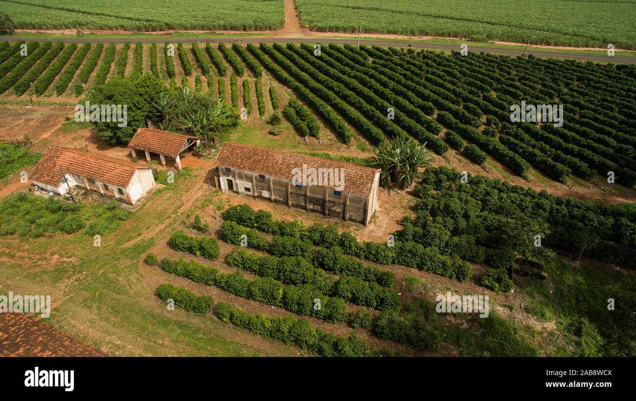 Coffee plantation. Hen house. Simple house Stock Photo - Alamy
