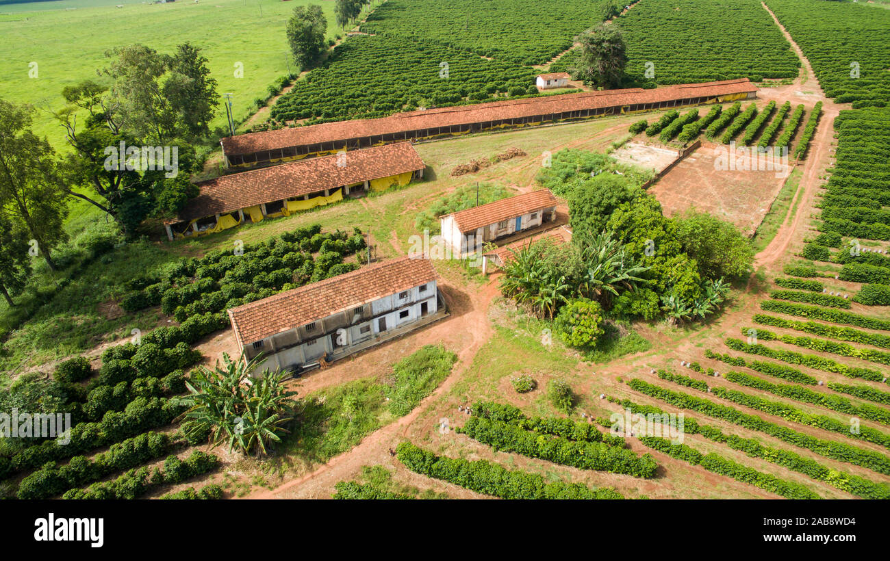 Coffee plantation. Hen house. Simple house Stock Photo - Alamy