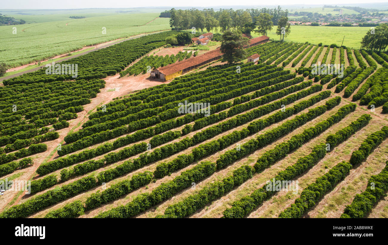 Coffee plantation. Hen house. Simple house Stock Photo - Alamy