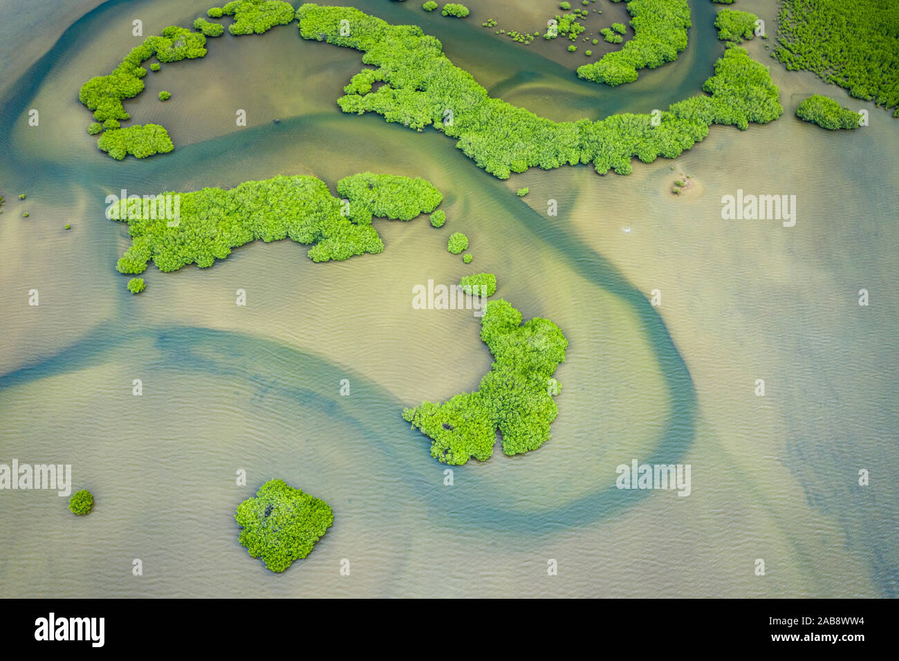 Senegal Mangroves. Aerial view of mangrove forest in the Saloum Delta ...