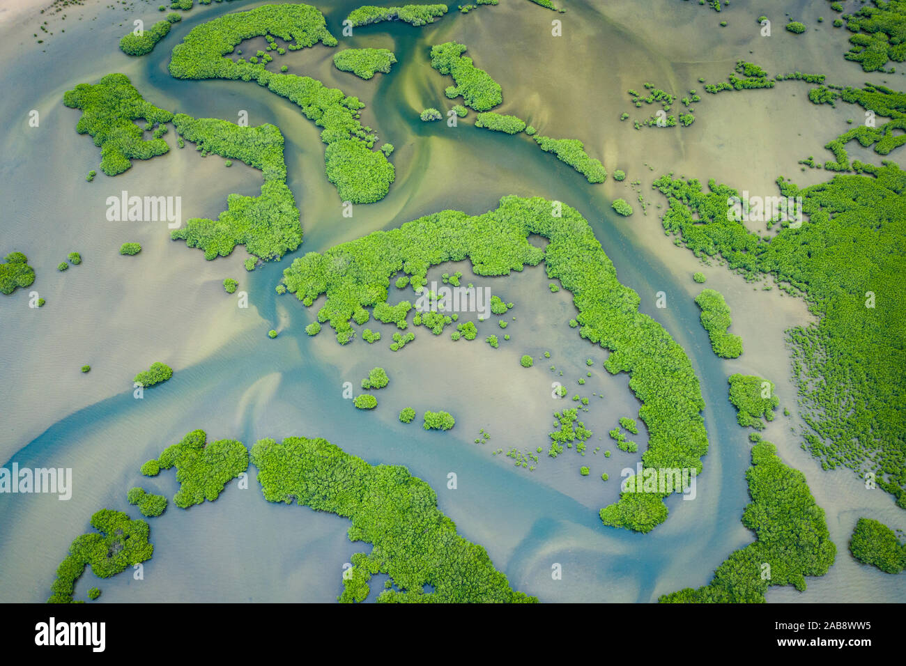Senegal Mangroves. Aerial view of mangrove forest in the Saloum Delta ...