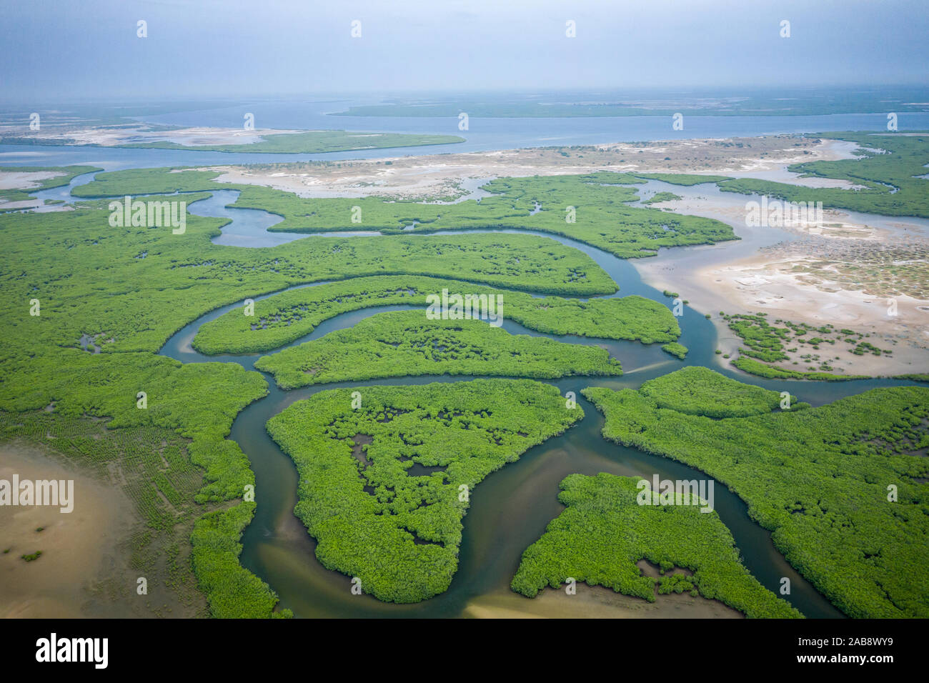 Senegal Mangroves. Aerial view of mangrove forest in the Saloum Delta ...