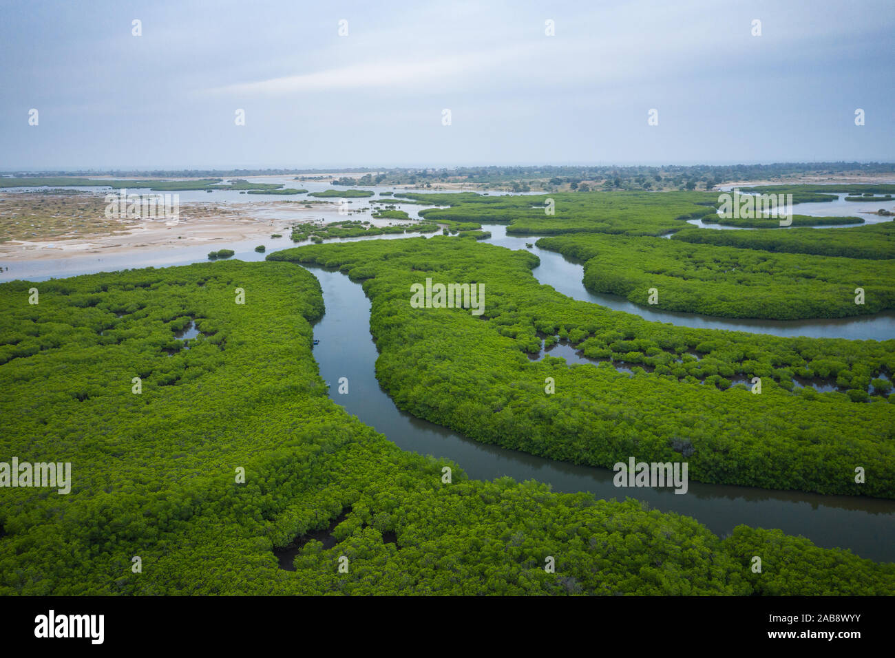 Senegal Mangroves. Aerial view of mangrove forest in the Saloum Delta ...