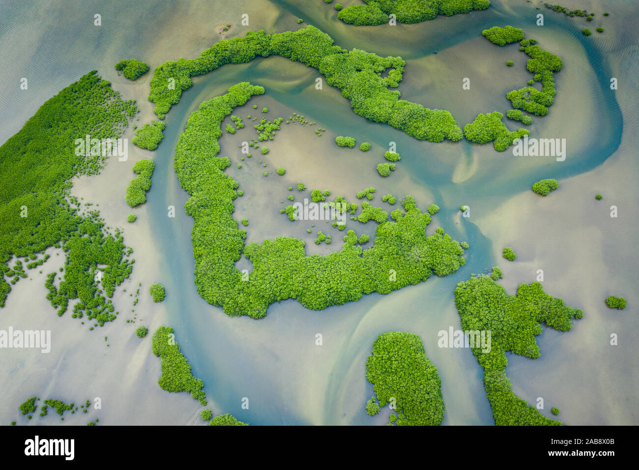 Senegal Mangroves. Aerial view of mangrove forest in the Saloum Delta ...
