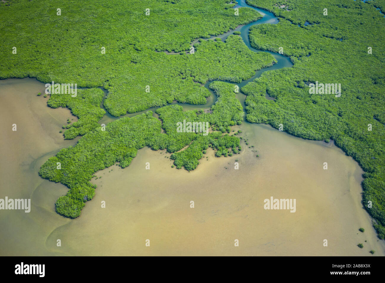Senegal Mangroves. Aerial view of mangrove forest in the Saloum Delta ...