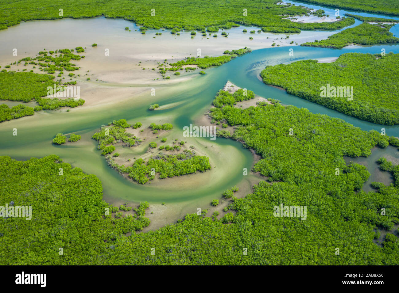 Senegal Mangroves. Aerial view of mangrove forest in the Saloum Delta ...