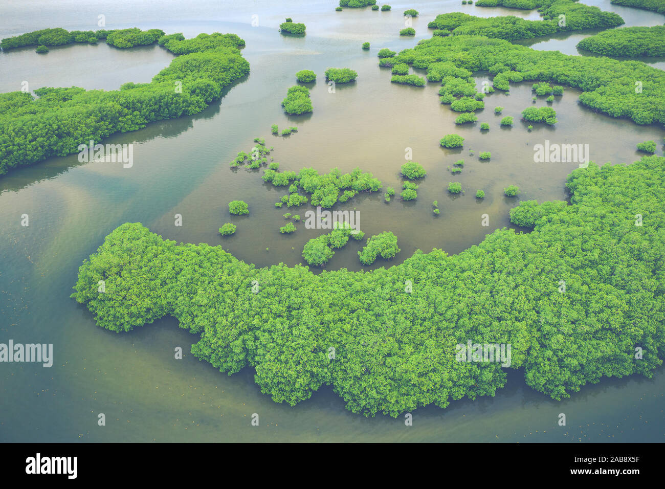 Senegal Mangroves. Aerial view of mangrove forest in the Saloum Delta ...