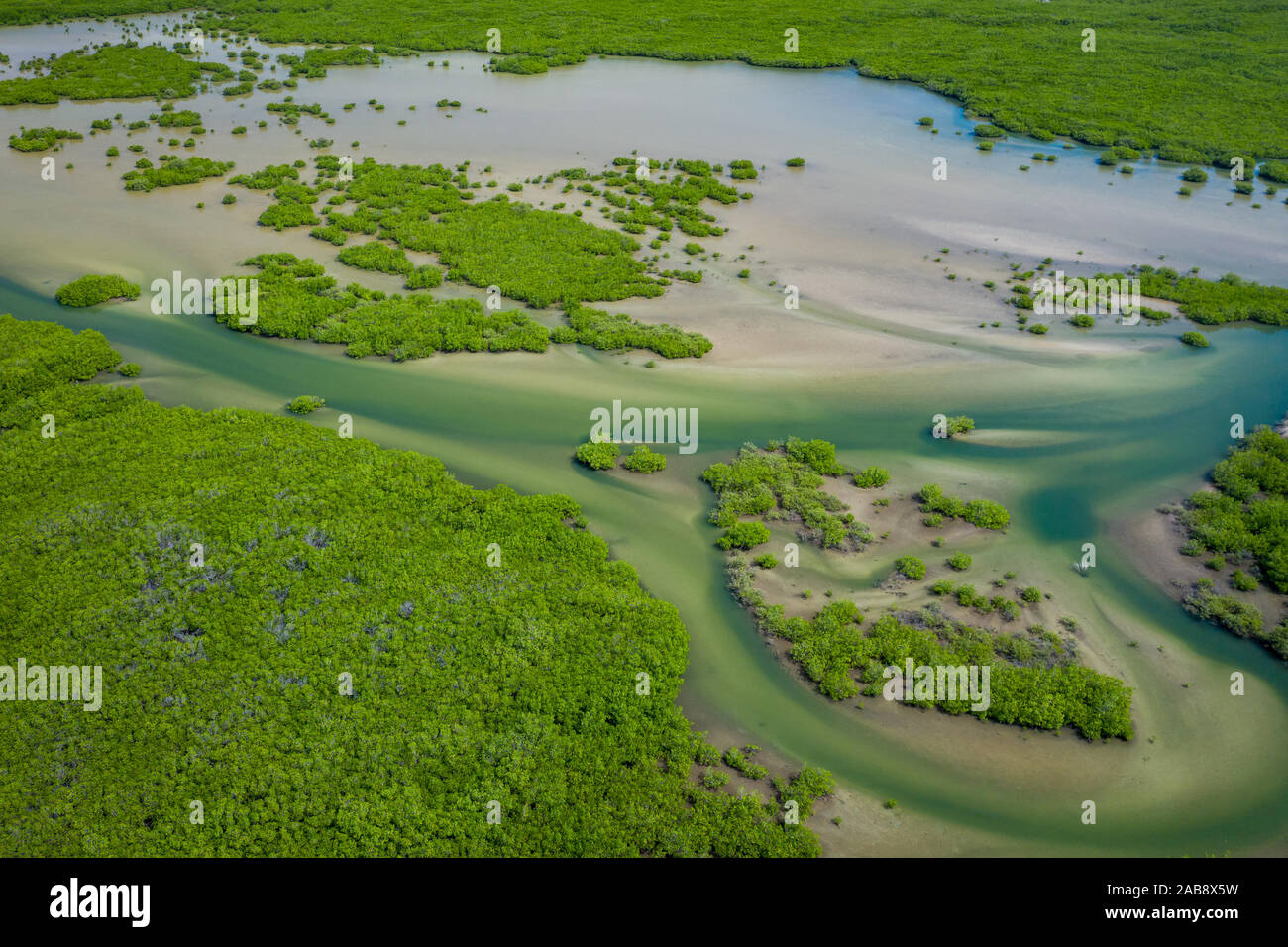 Senegal Mangroves. Aerial view of mangrove forest in the Saloum Delta ...