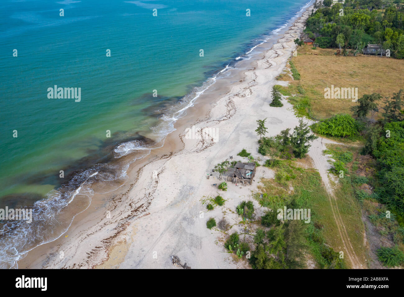 Palmarin hi-res stock photography and images - Alamy