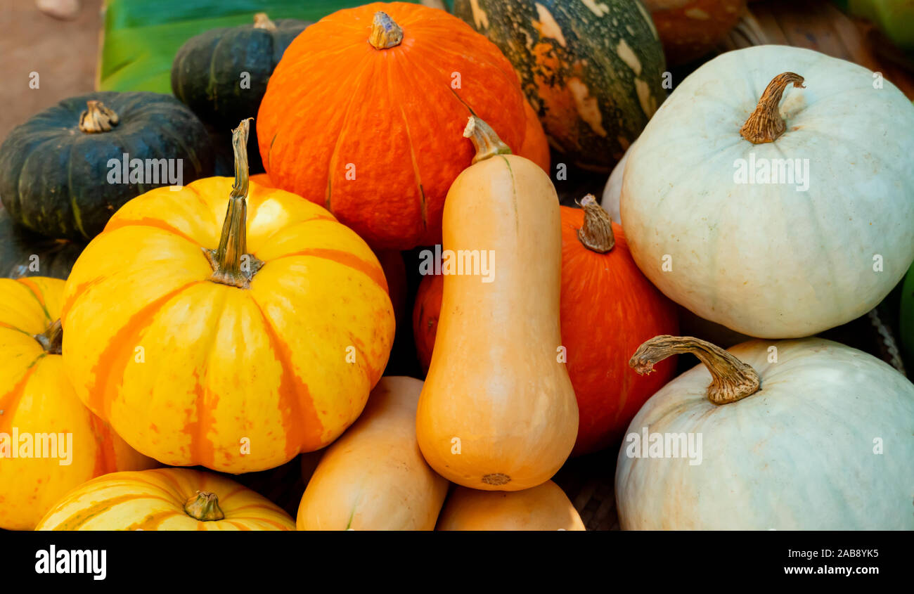 Fall harvest cornucopia. Autumn season with fruit and vegetable ...