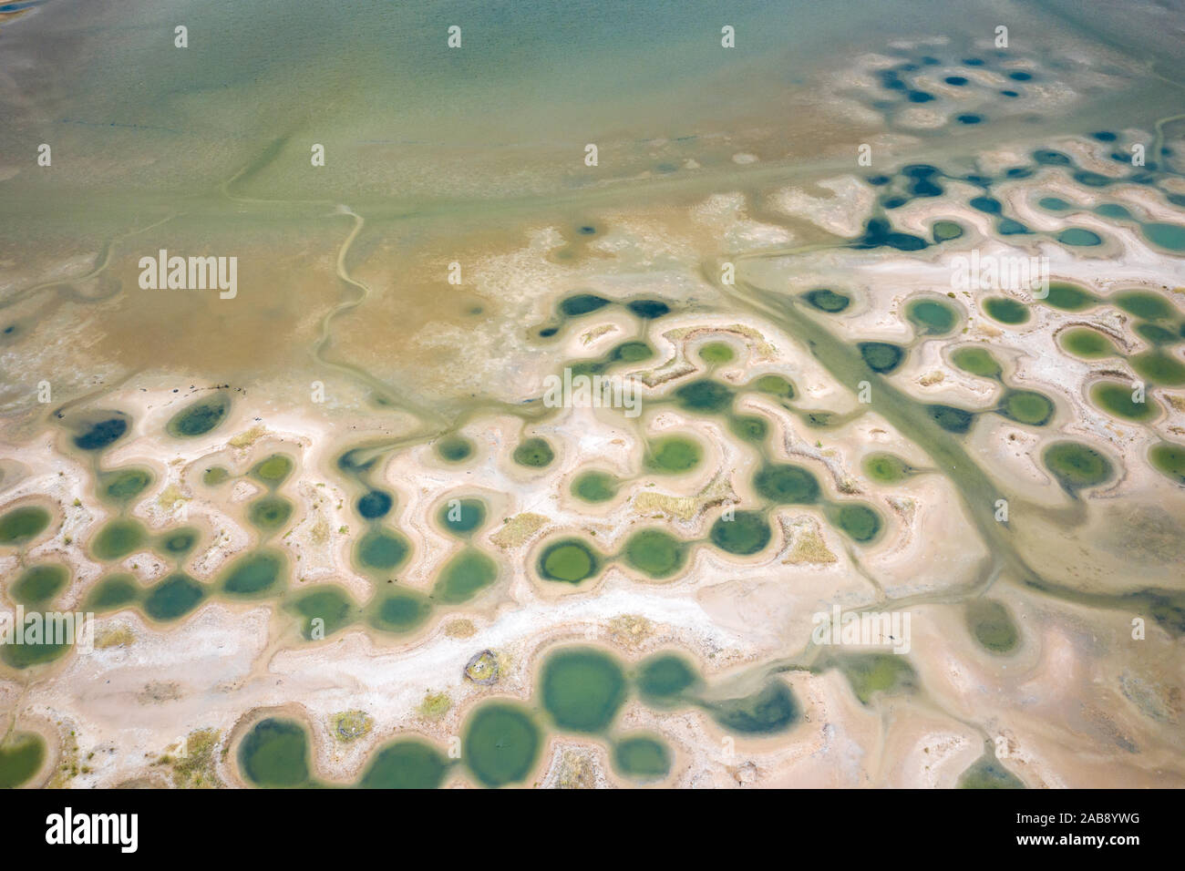 Aerial view of artificial salt farm.. Senegal. West Africa. Photo made ...