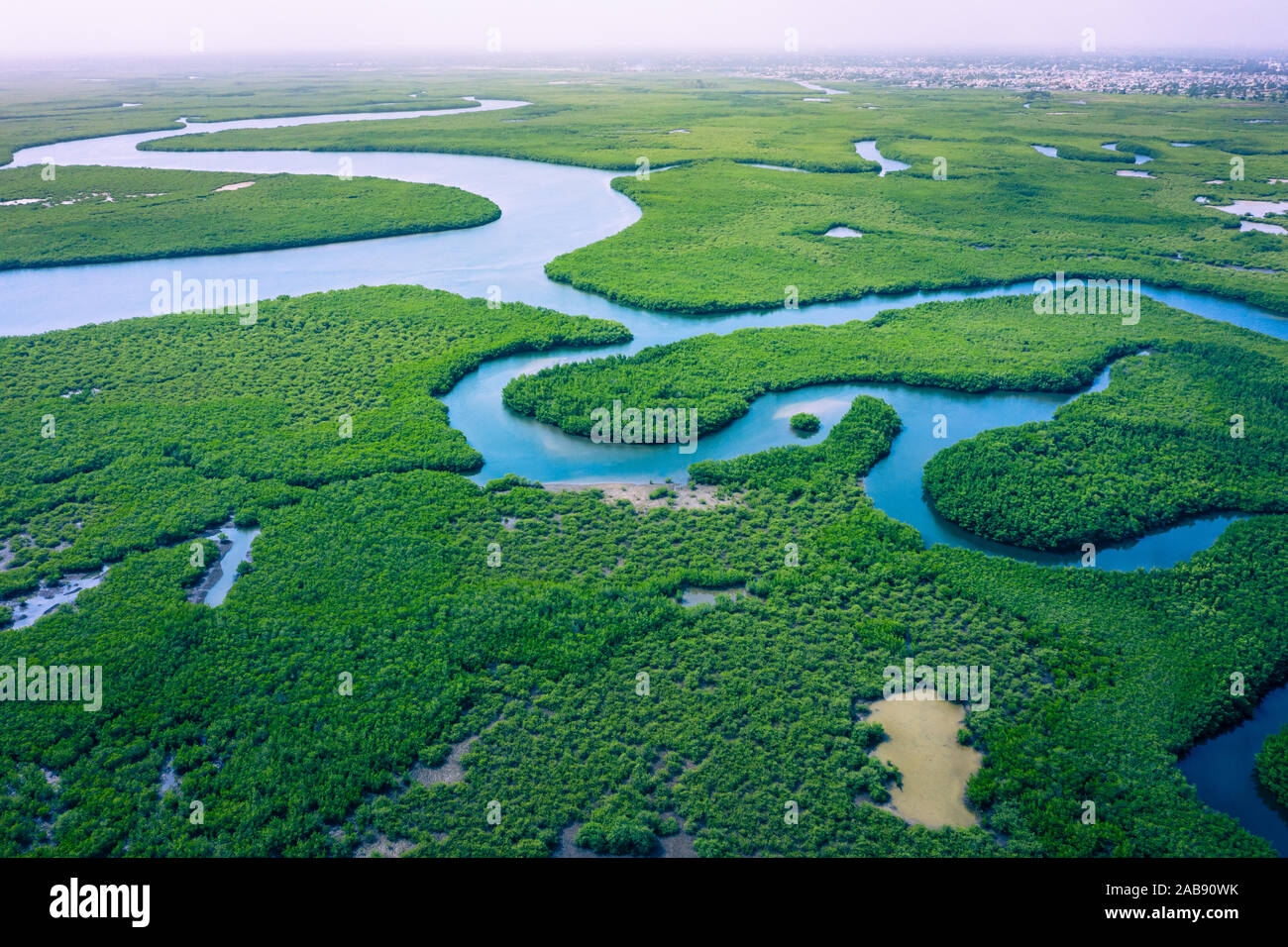Gambia Mangroves. Aerial view of mangrove forest in Gambia. Photo made ...