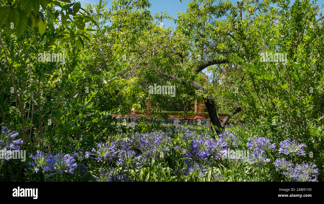 Lush green courtyard trimmed grass hi-res stock photography and images ...