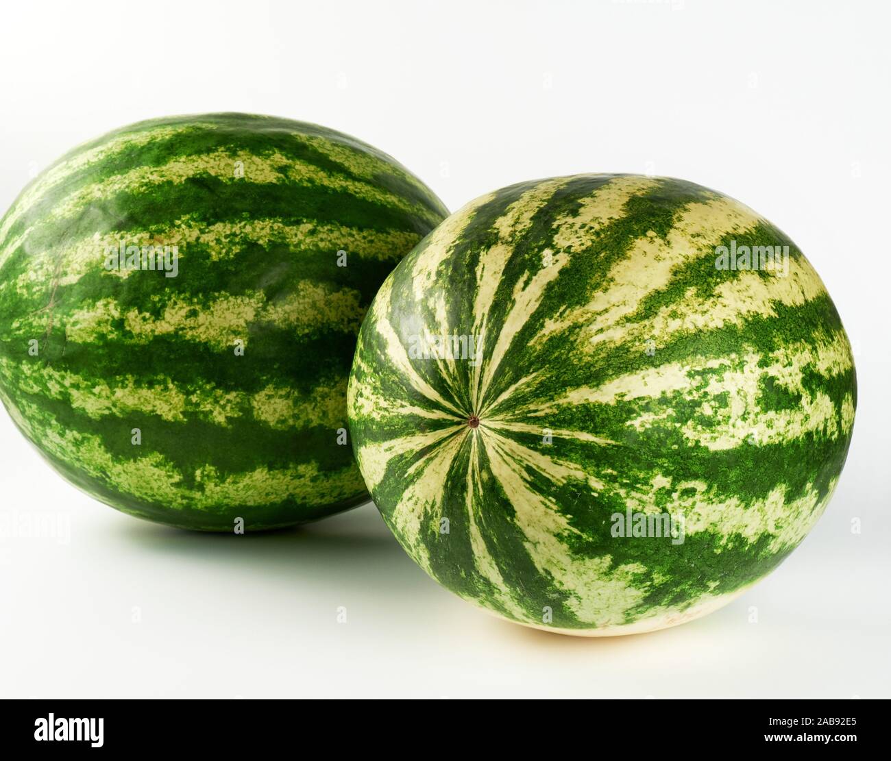 Huge Watermelons