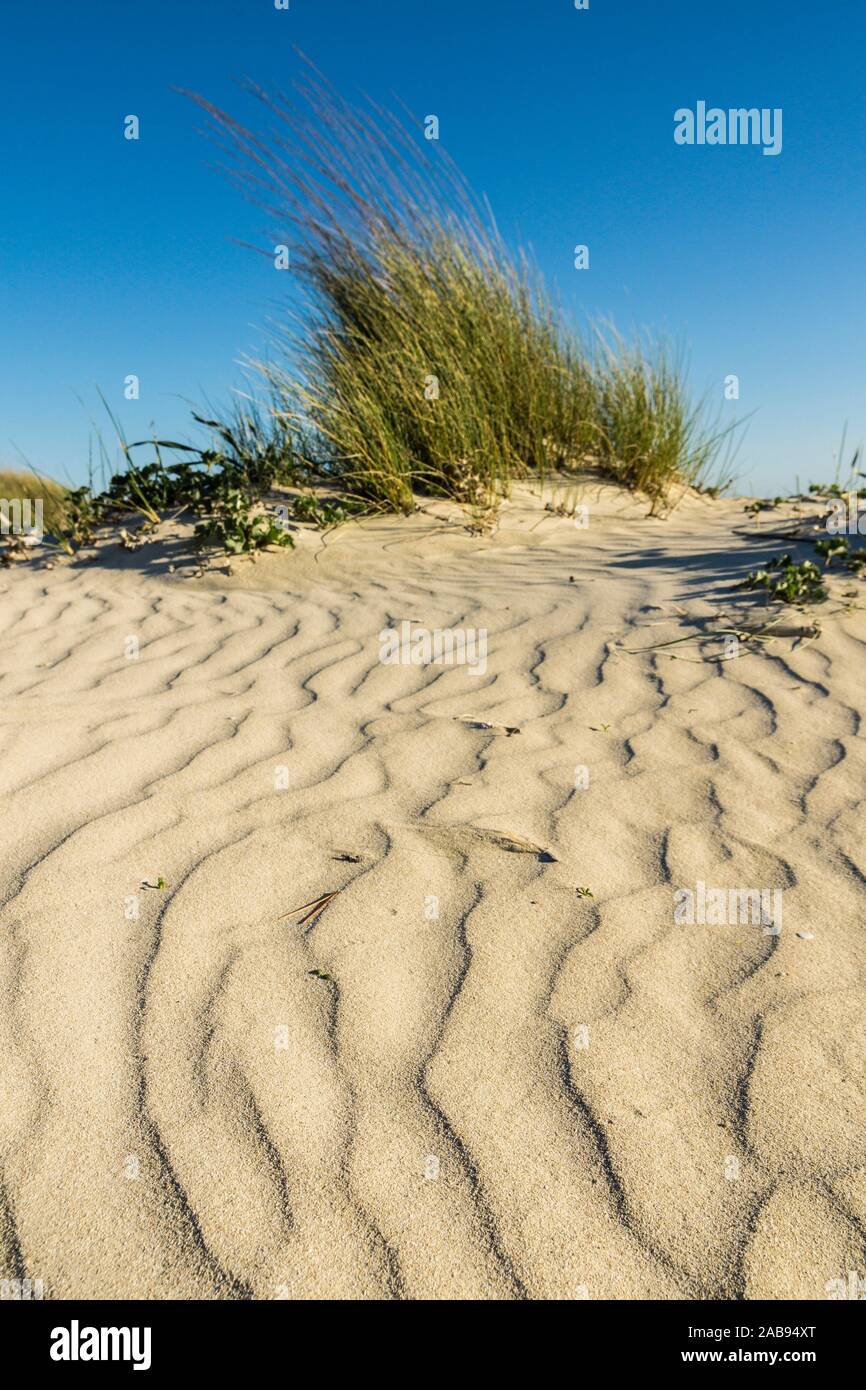 Dunar hi-res stock photography and images - Alamy