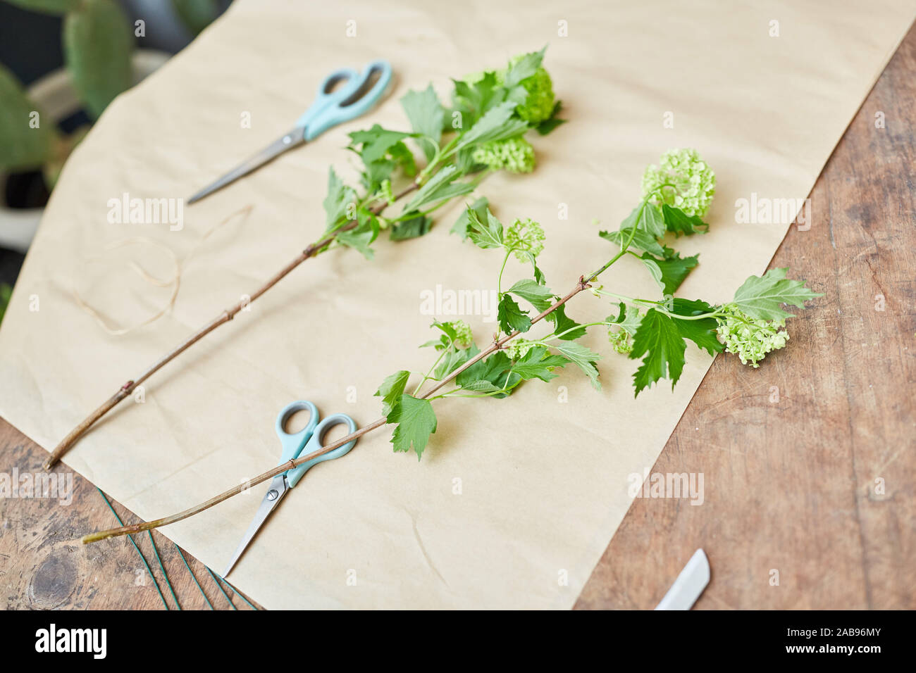 Bouquet paper hi-res stock photography and images - Alamy