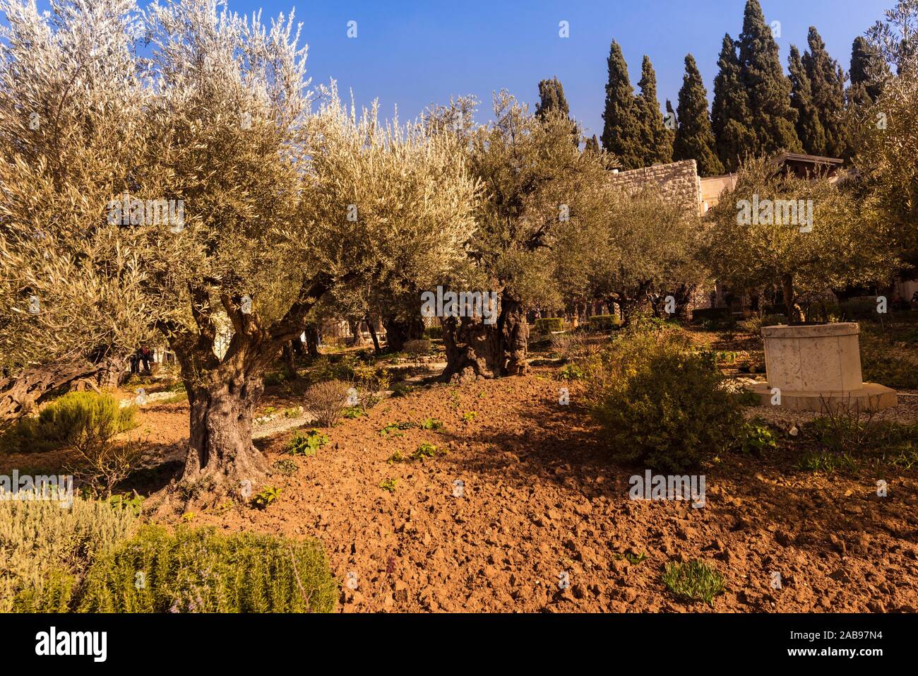 Middle East Nation High Resolution Stock Photography and Images - Alamy
