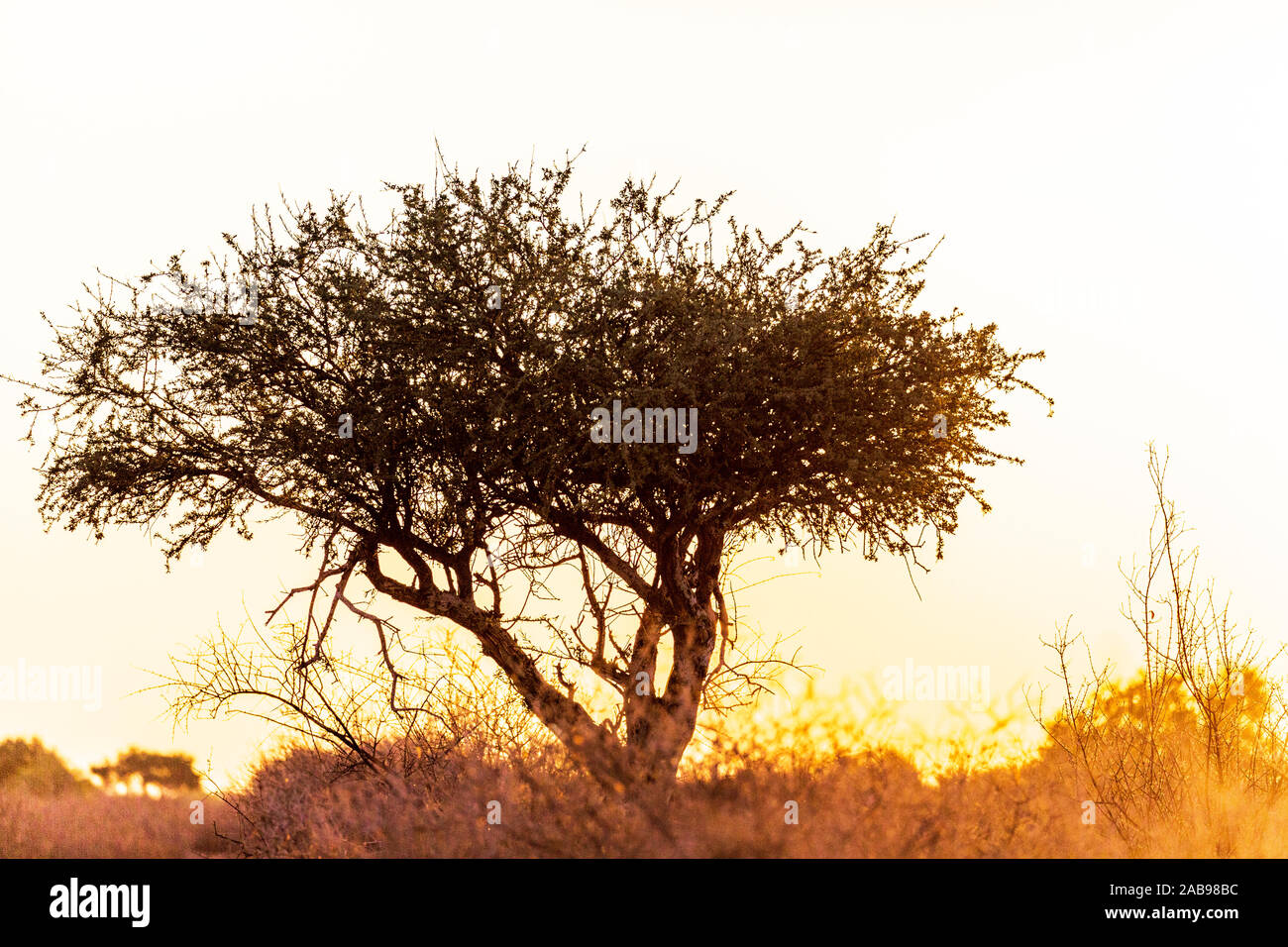 Sunset in Namibia, Africa Stock Photo - Alamy