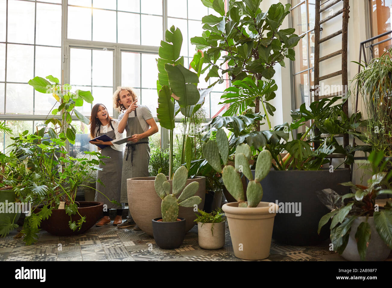 Nursery team with checklist at inventory of plants in the greenhouse ...