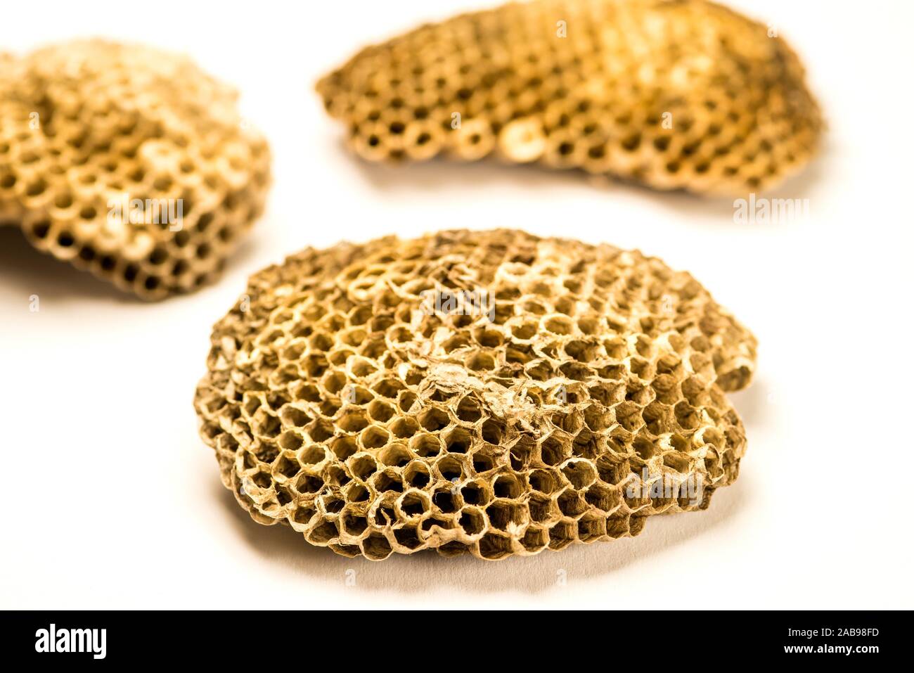 Empty honeycomb hi-res stock photography and images - Alamy