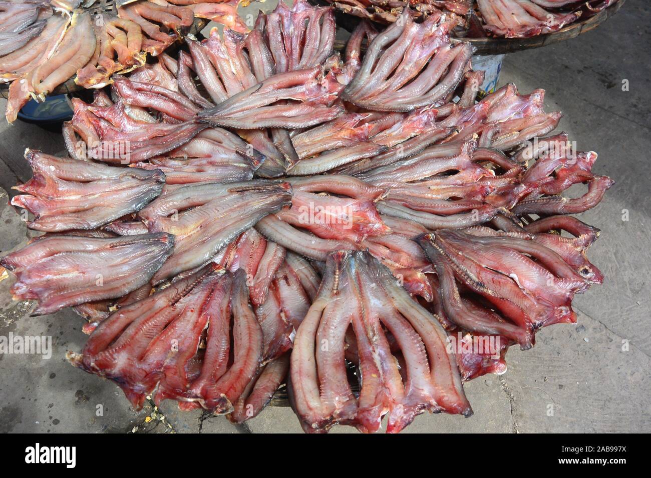 Air Dried Fish High Resolution Stock Photography and Images - Alamy