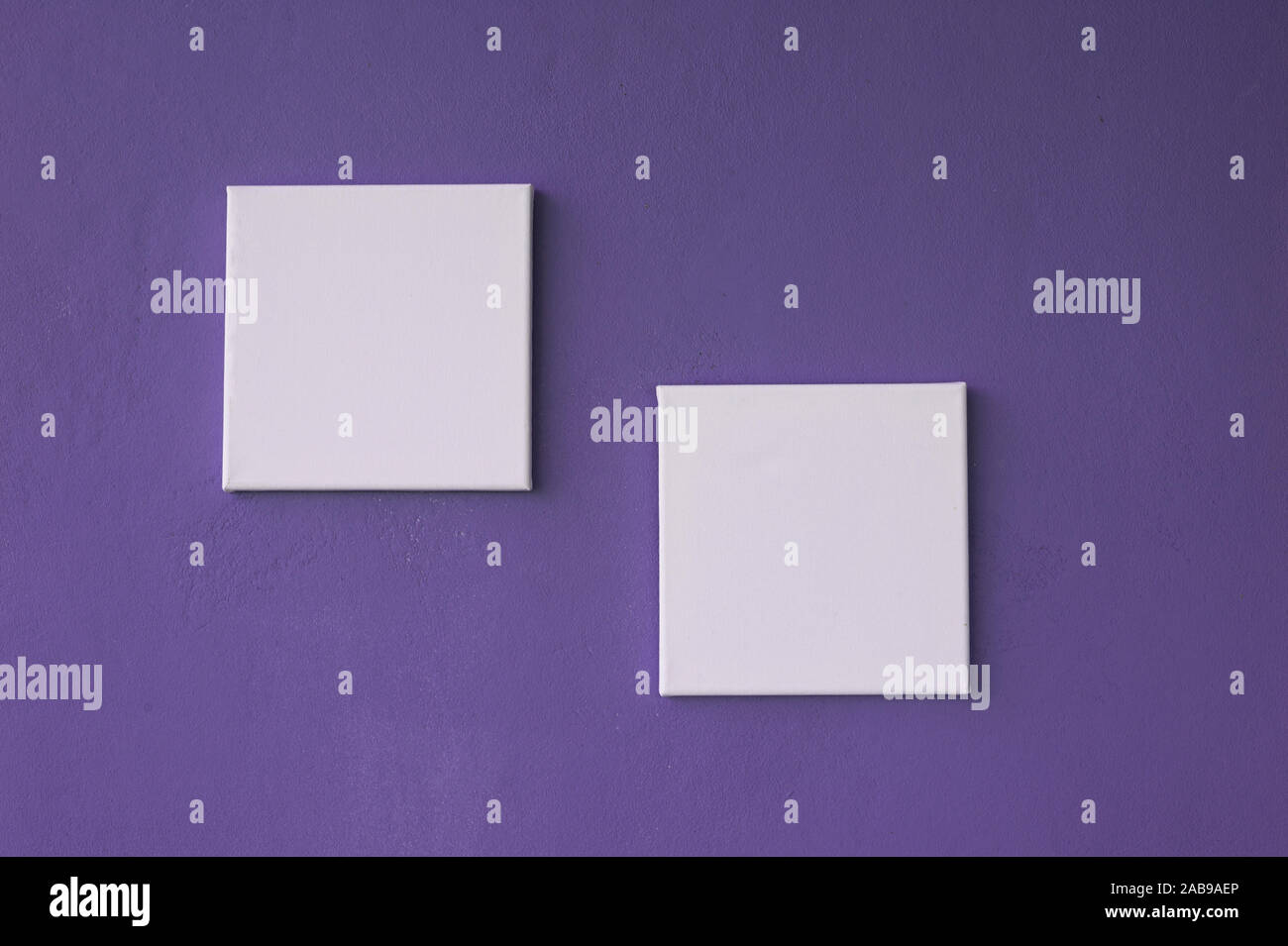 two white rectangular blank canvas frame on purple cement wall ...